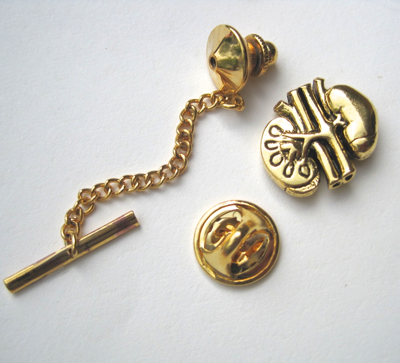 Anatomical Kidney Tie Tac/Lapel Pin-Gold Plated « Kidney Jewelry ...